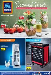 Hofer Aktionen - Hofer Flugblätter - Flugblättern.at
